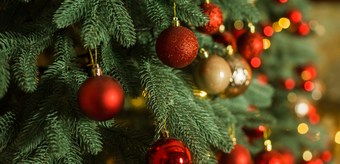 2025 – U.S. Capitol Christmas Tree
