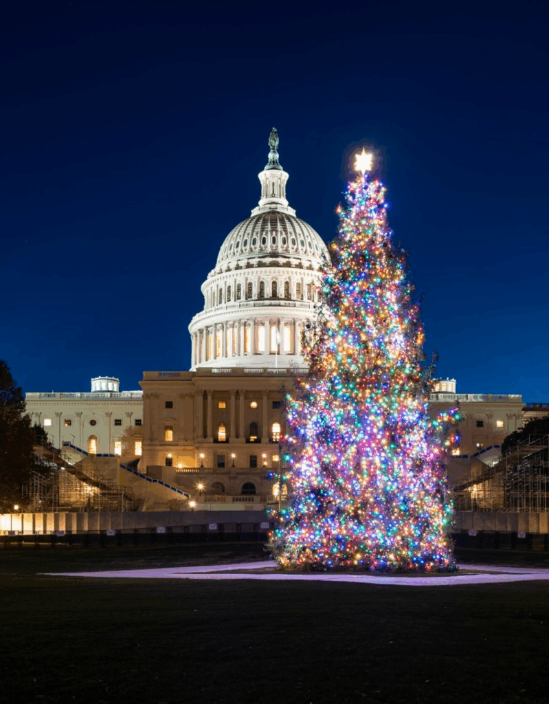 About – U.S. Capitol Christmas Tree